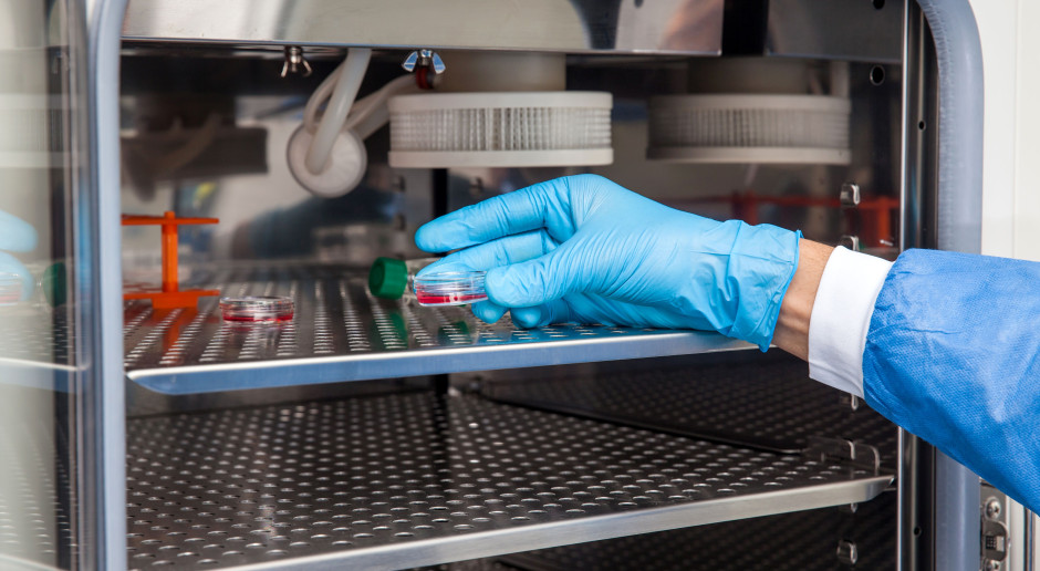 Rok programu in vitro. Mamy pełne dane z Ministerstwa Zdrowia. 14 ...